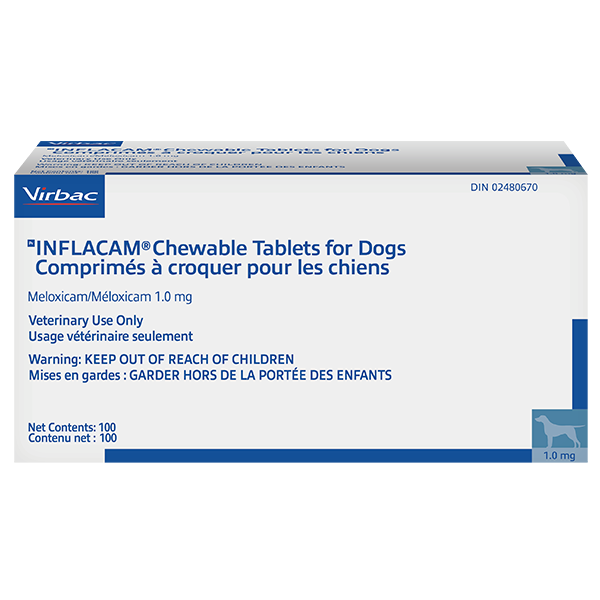 INFLACAM® (Meloxicam) Chewable Tablets for Dogs & Injection for Dogs ...