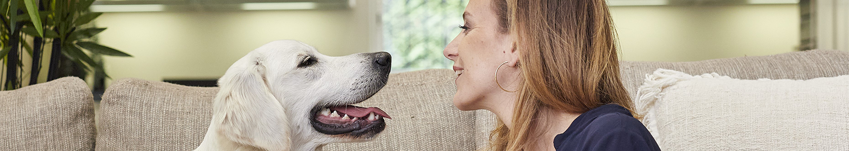 SUPRELORIN® 4.7 mg (Deslorelin Implant) for Dogs & Cats