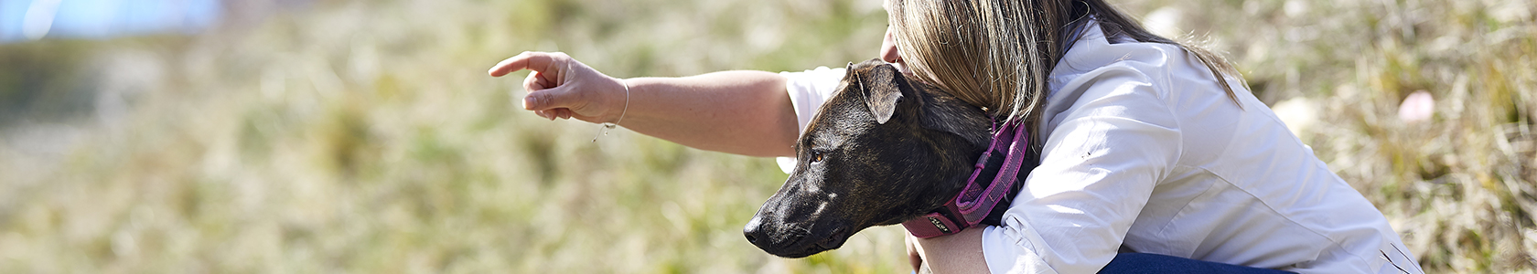 ERADIA® Metronidazole Oral Suspension