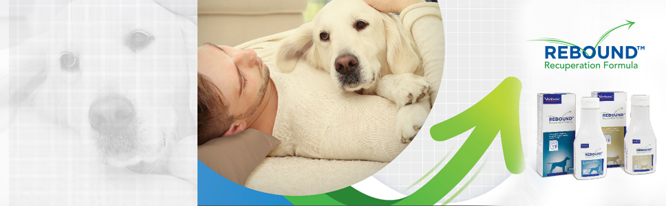 REBOUND® Recuperation Formula for Dogs